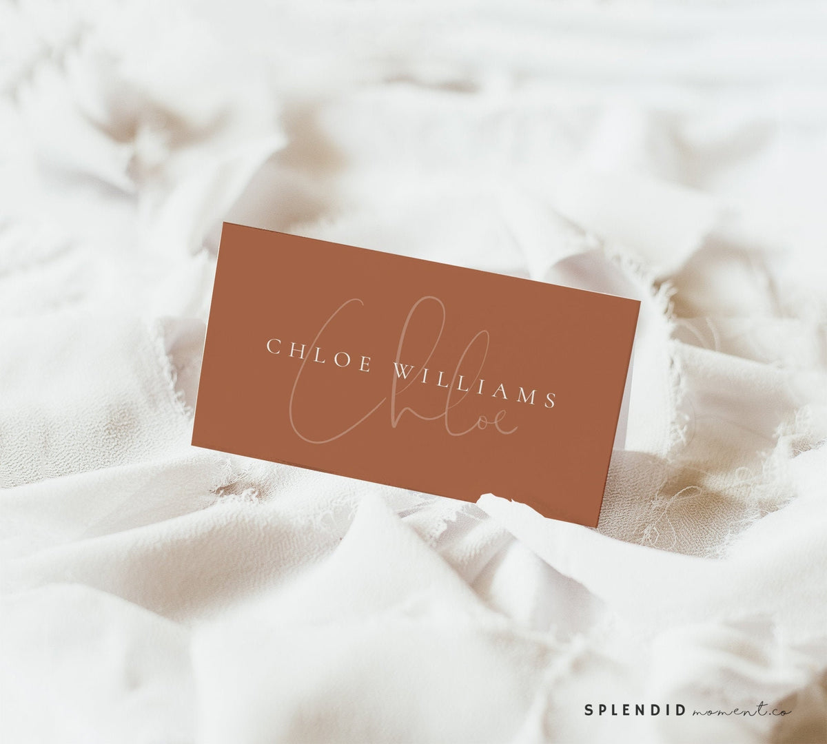 Terracotta Rust Wedding Place Cards Template, Editable Printable Burnt ...