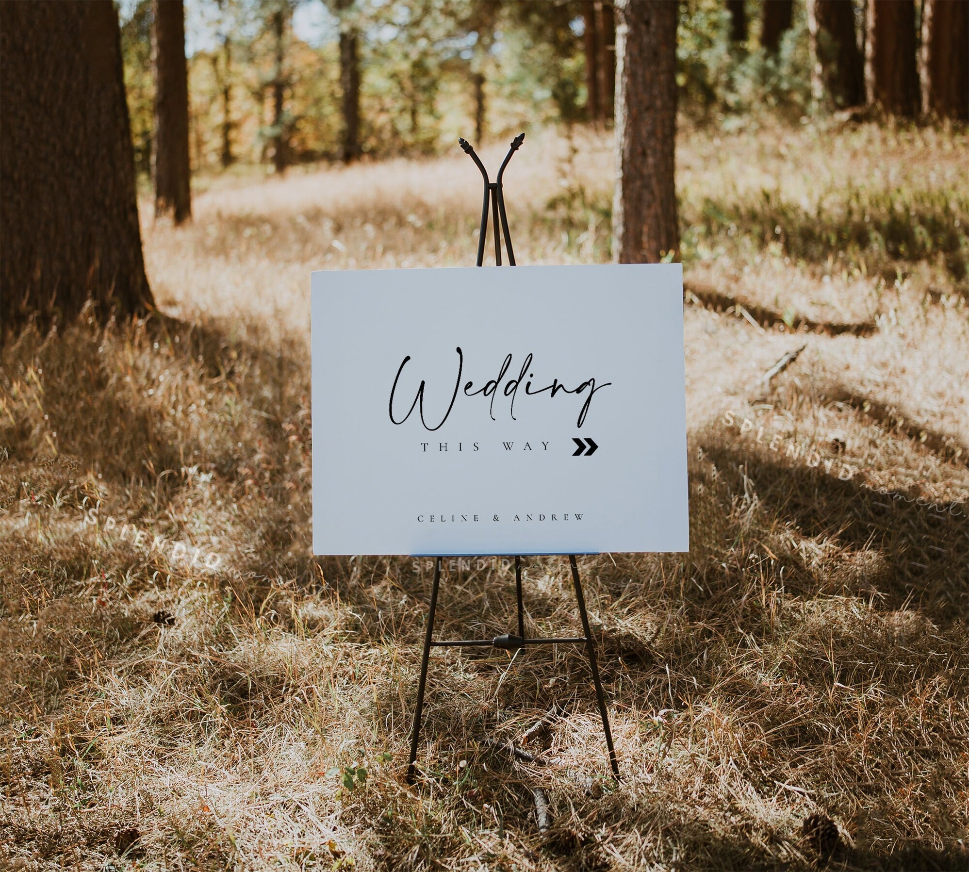 Wedding Direction Sign Template, Ceremony Reception Sign, Wedding This ...